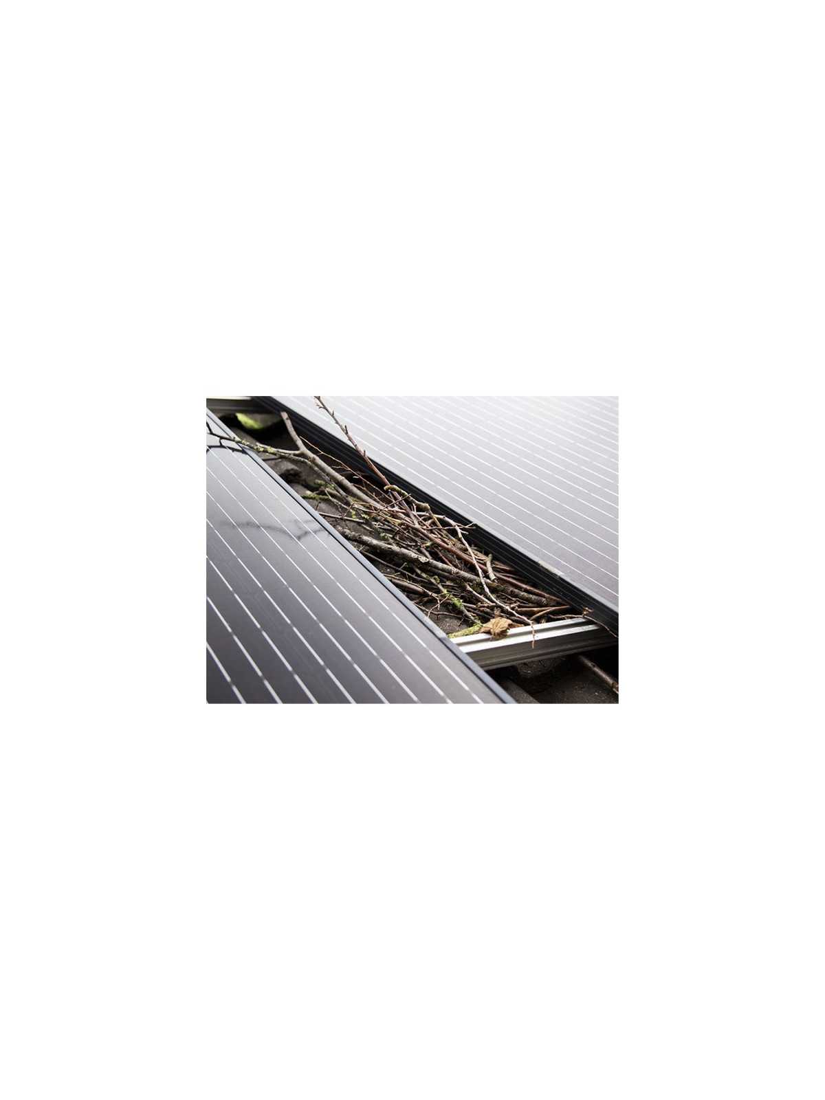 Solarguard Pro anti-pigeon panel protection